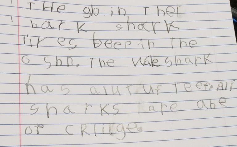 What Are the 12 Types of Dyslexia? - Edublox Online Tutor