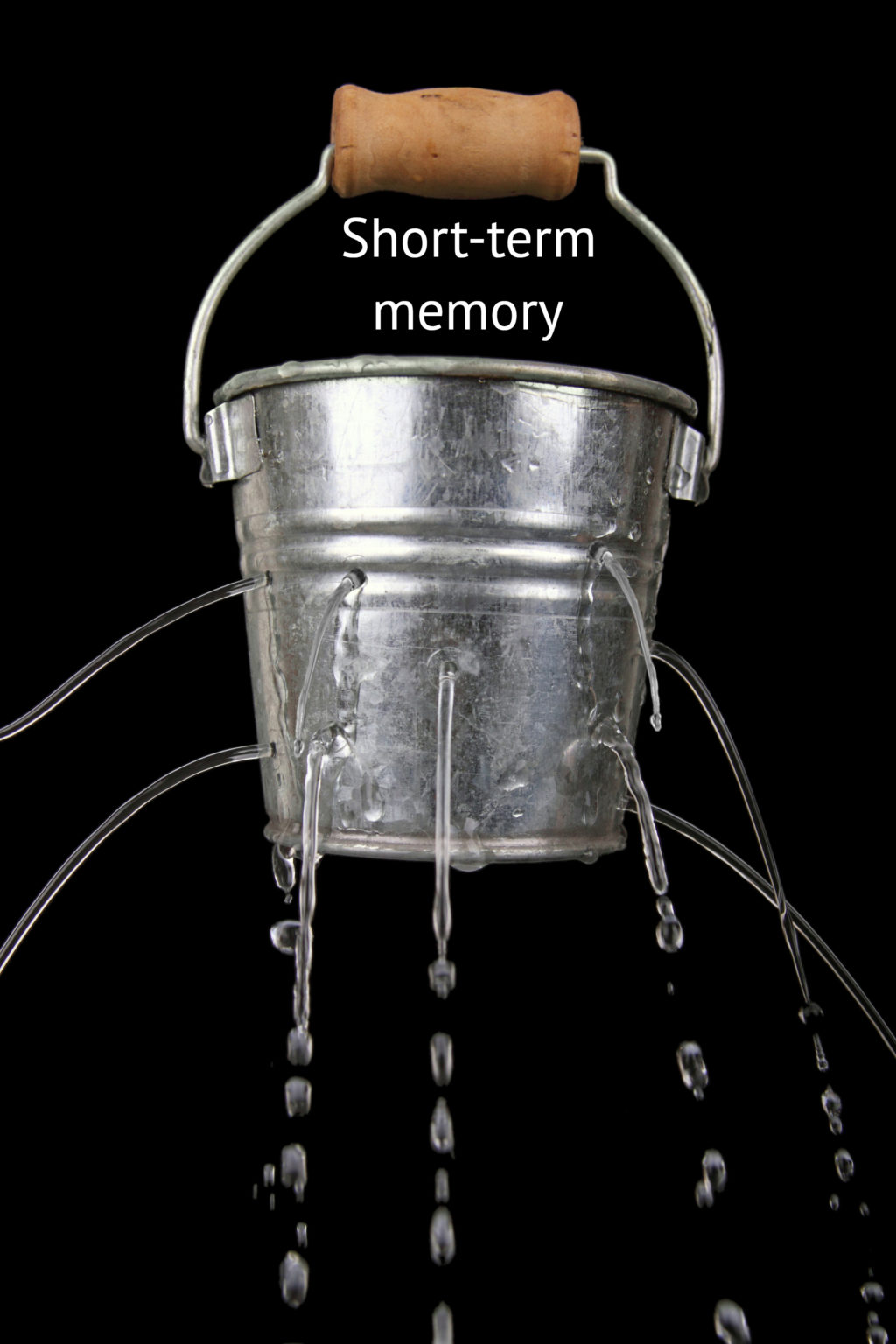 Short-Term Memory: What It Is, How It Works, Improving (Program ...