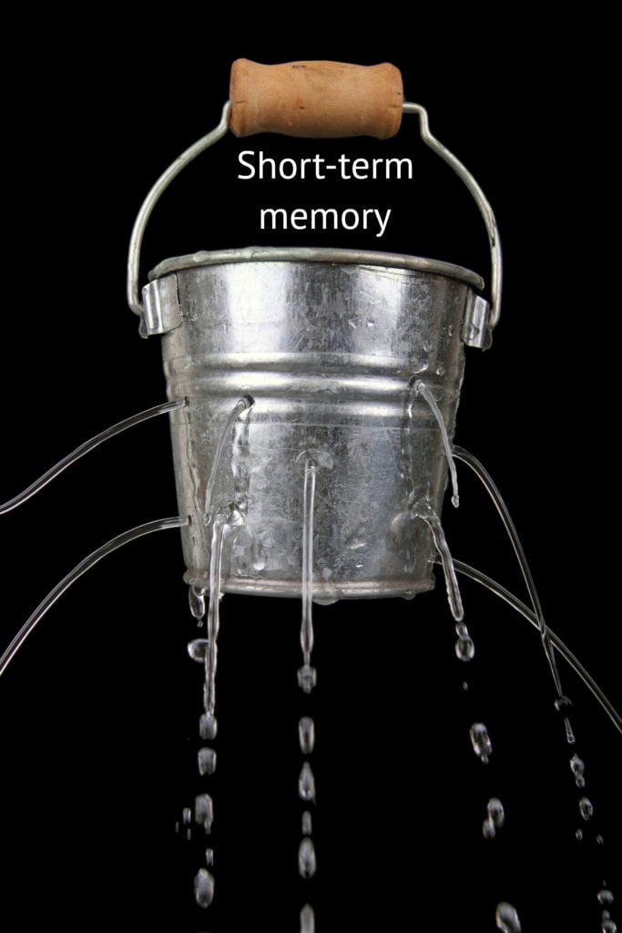 Short-Term Memory: What It Is, How It Works, Improving (Program ...