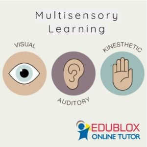 Multisensory Learning Strategies: The Senses in the Service of Learning ...