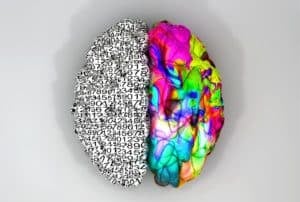 Brain Myths: 10 Neuromyths Set Straight - Edublox Online Tutor