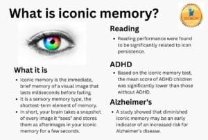 What Is Iconic Memory? - Edublox Online Tutor