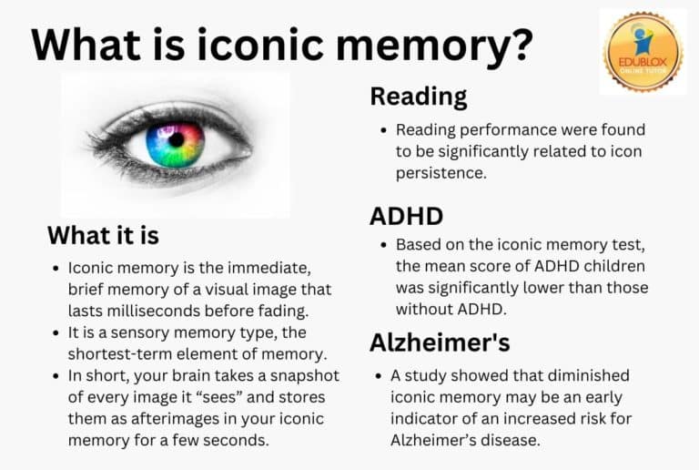 What Is Iconic Memory? - Edublox Online Tutor