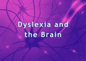 The Dyslexia Brain Explained: What Science Reveals - Edublox Online Tutor