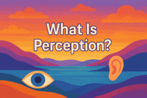 What Is Perception? - Edublox Online Tutor